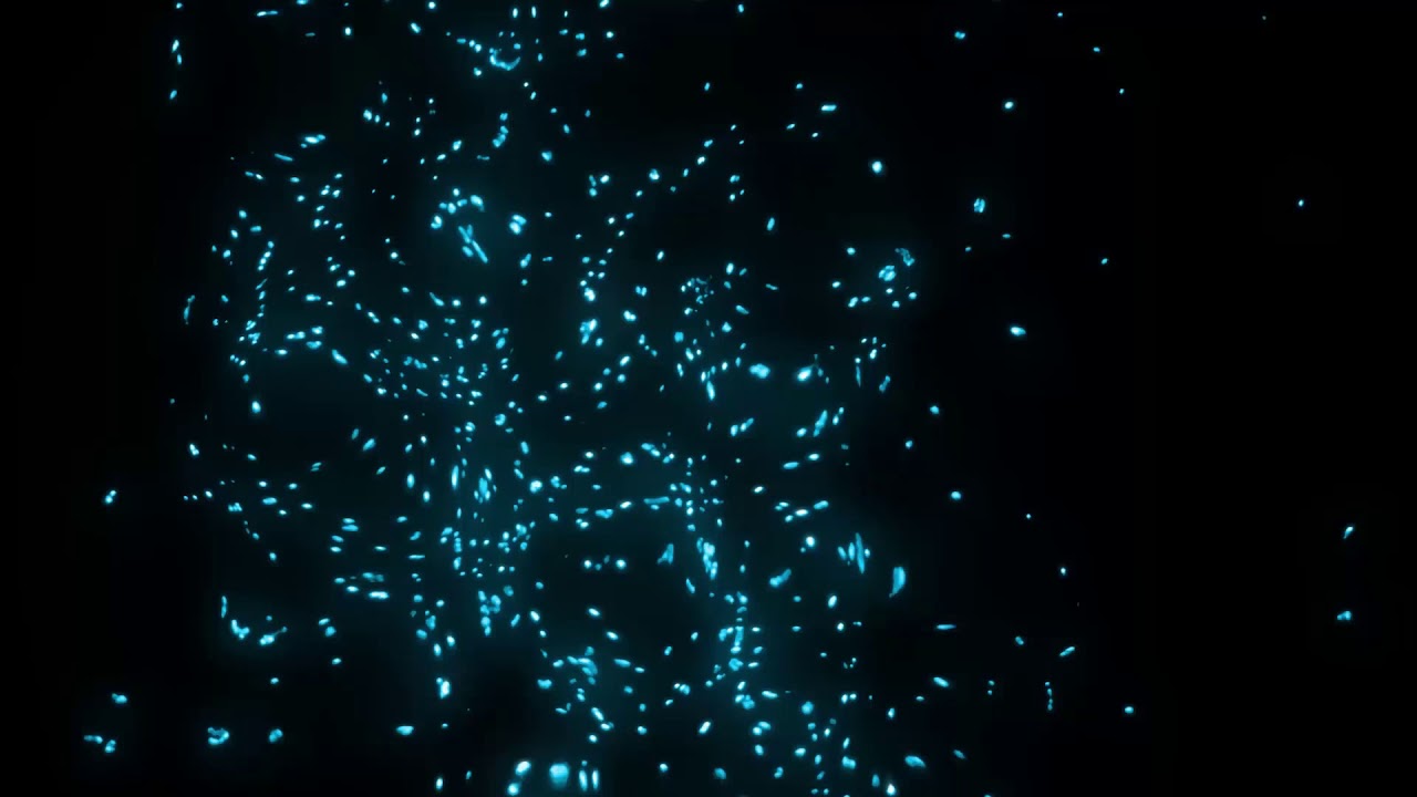 pink bokeh particle animation – Download Stock Footage – Free stock video footage