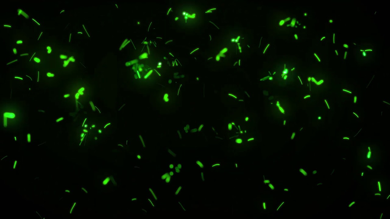 heart particle green screen – Free stock video footage