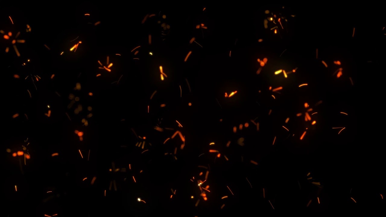 light blue particle line background loop animation – Download Stock Footage – Free stock video ...