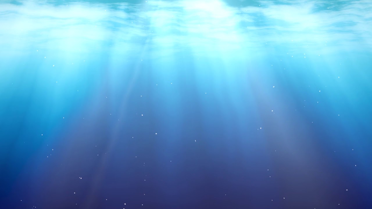 light blue particle line background loop animation – Download Stock Footage – Free stock video ...