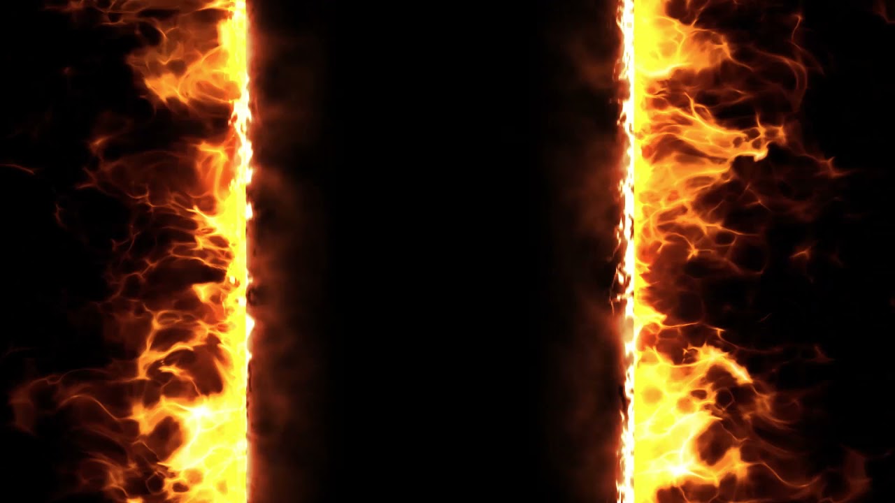 sound bar animation background – Free stock video footage